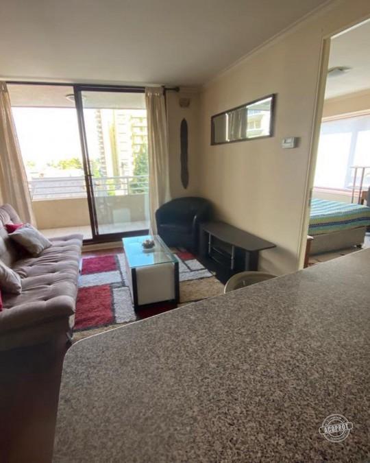 Arriendo Dpto completamente Amoblado Edificio Lyon - ACOPROT