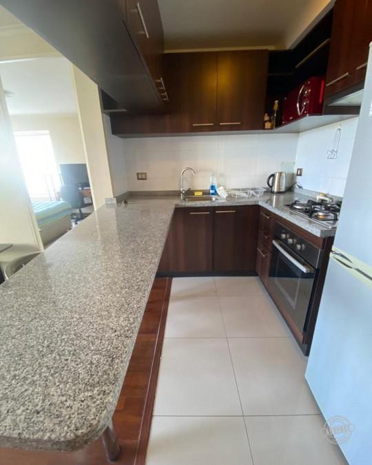 Arriendo Dpto completamente Amoblado Edificio Lyon - ACOPROT